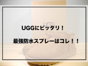 UGG（アグ）に防水スプレーは必須です！最強に合うのはコレで決まり！ | shinyblog